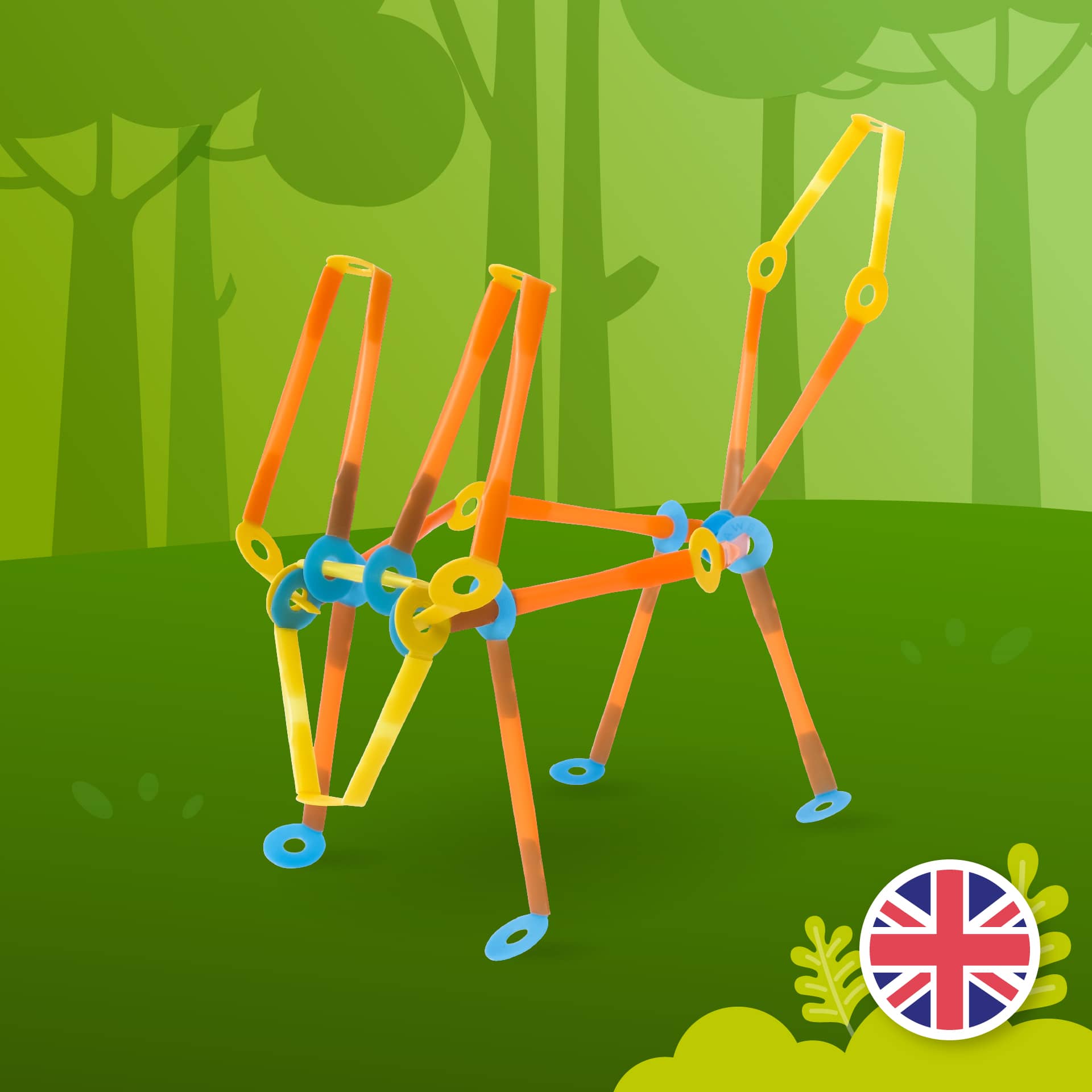 🇬🇧 Intro: Temperate Forest Biome | Strawbees Classroom